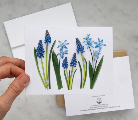 Greeting Card - Botanical, Blue Spring Flowers – It's Ornamental!